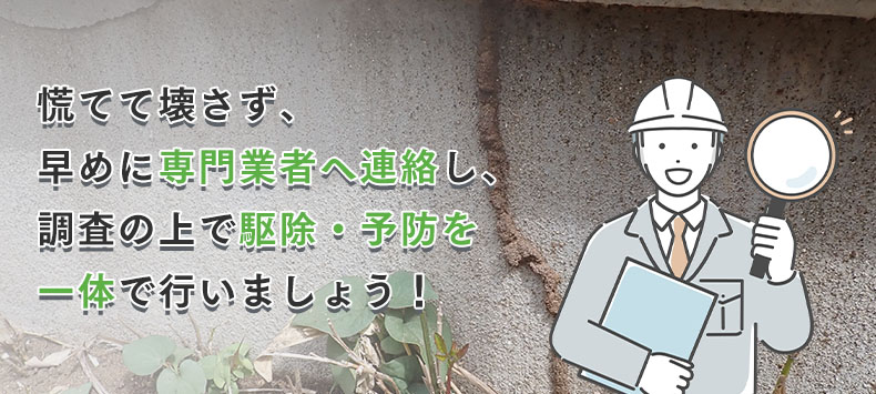 蟻道はシロアリの侵入経路｜蟻道の見分け方やできる場所を解説 ｜株式会社エコパウダー ホウ素系防腐防蟻剤のパイオニア株式会社エコパウダー